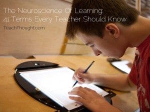 41 Important Neuroscience Terms For Teachers | TeachThought