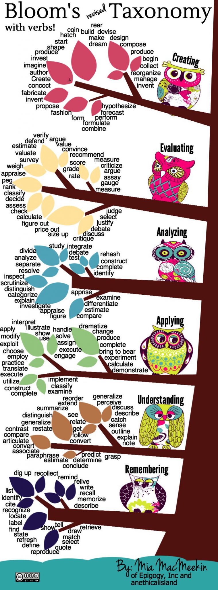 A Taxonomy Tree: A Bloom's Revised Taxonomy Graphic A Taxonomy Tree: A Bloom's Revised Taxonomy Graphic